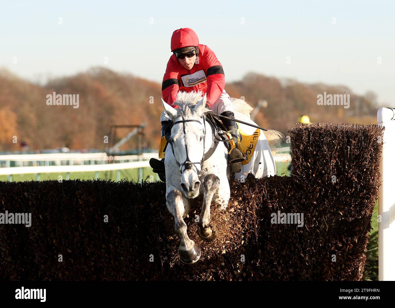 Grey dawning skelton hi-res stock photography and images - Alamy