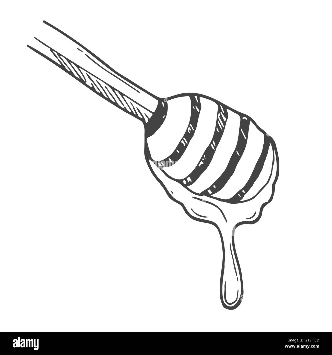 Hand drawn honey stick with drop. Sketches isolated. Black and white ...