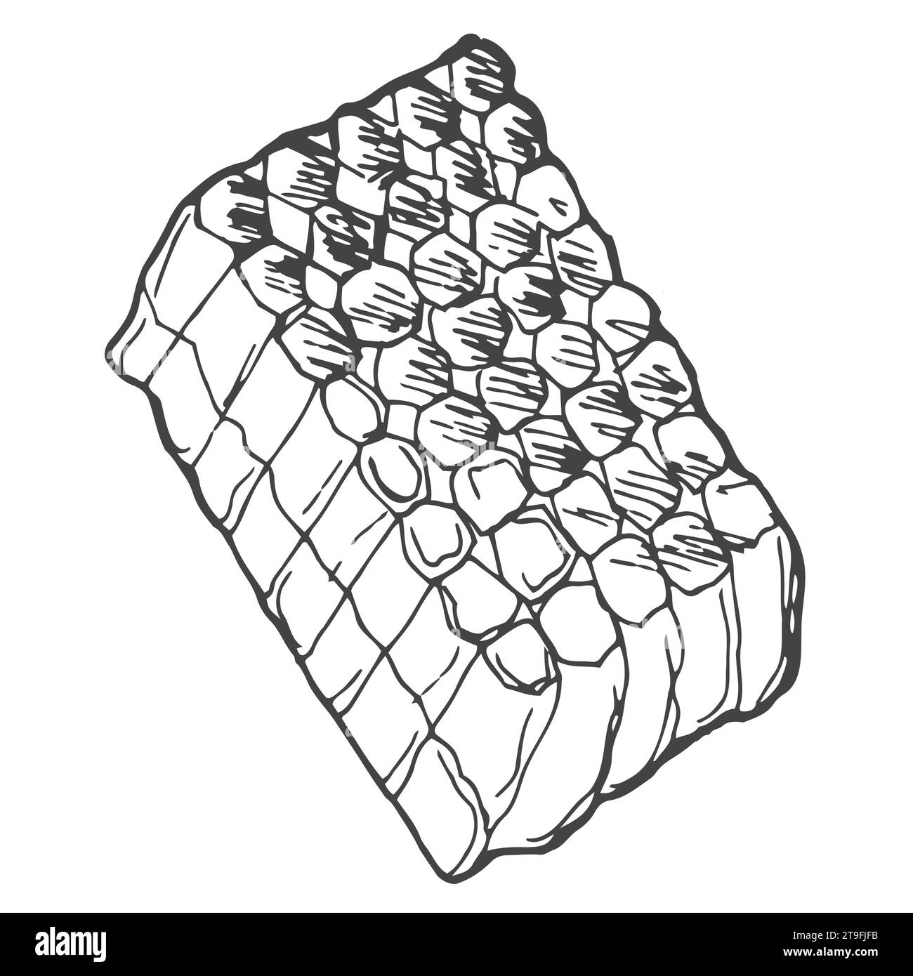 Honeycomb nectar icon outline hi-res stock photography and images - Alamy