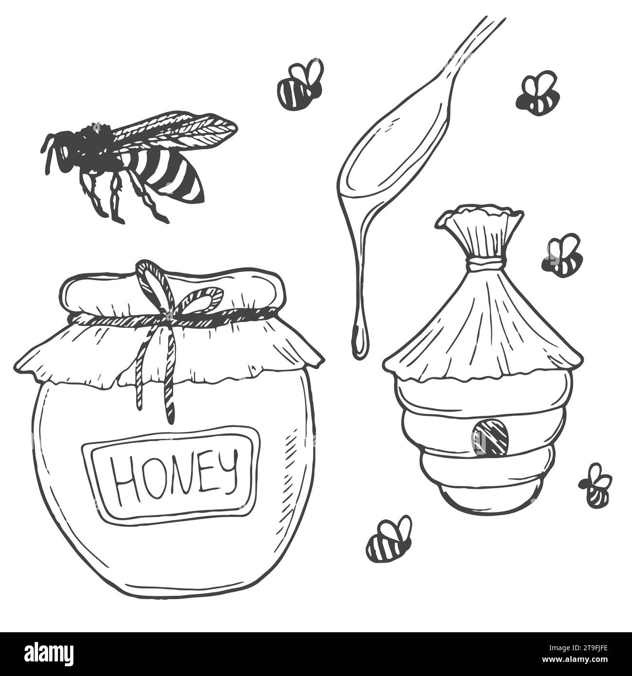 Honey set. Hand-drawn black doodle drawing. Vector illustration Stock ...