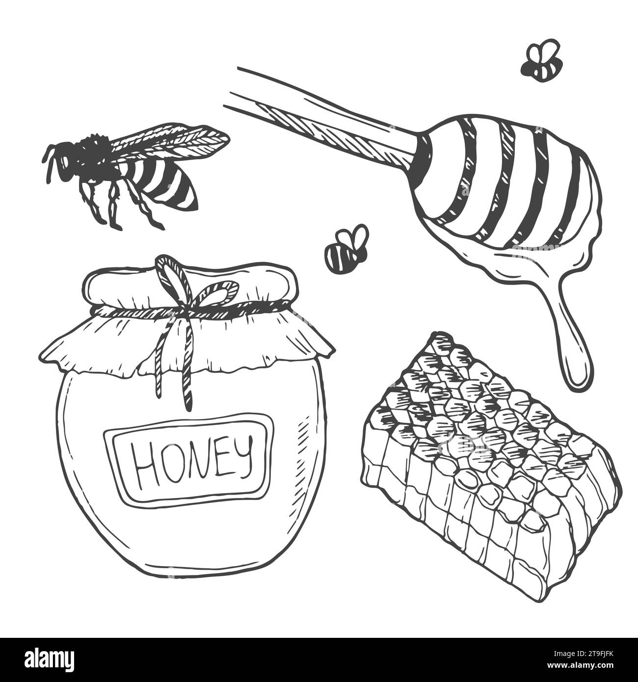 Honey set. Hand-drawn black doodle drawing. Vector illustration Stock ...
