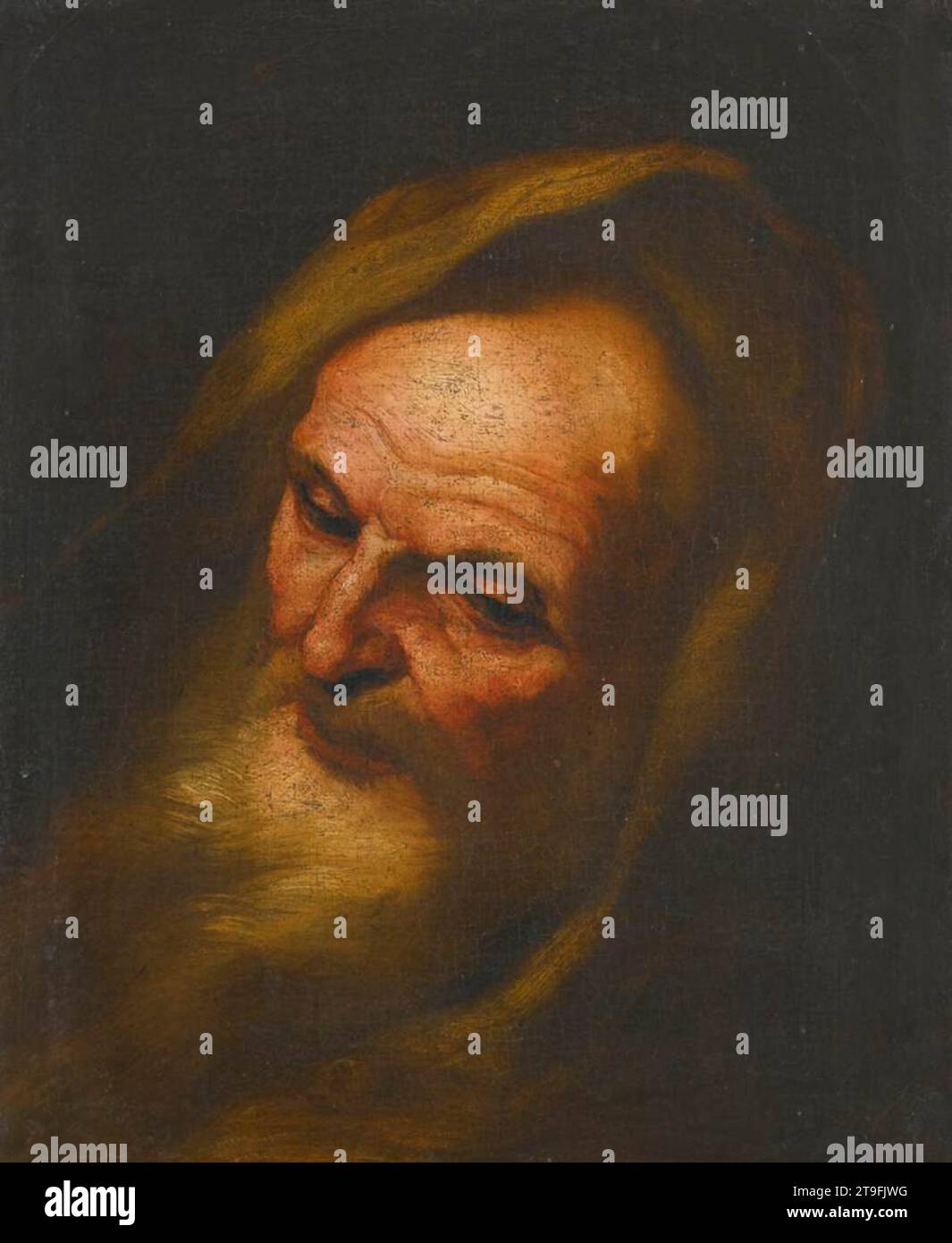 Head Study of a Philosopher - by Giacomo Farelli Stock Photo - Alamy