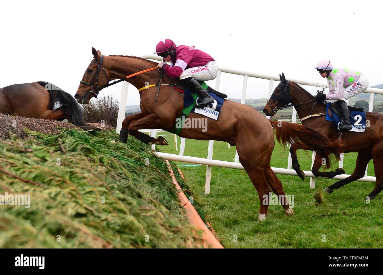 Idas boy hi-res stock photography and images - Alamy