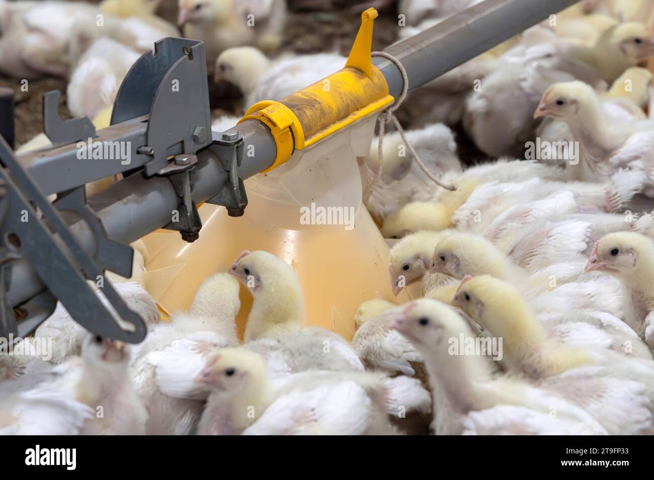 Helsinki. 22nd Nov, 2023. This photo taken on Nov. 22, 2023 shows ...