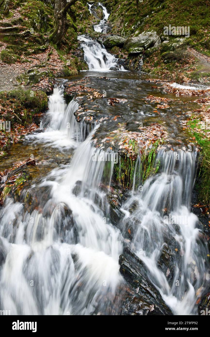 A busy and fast flowing stream running down a steep hill to discharge ...