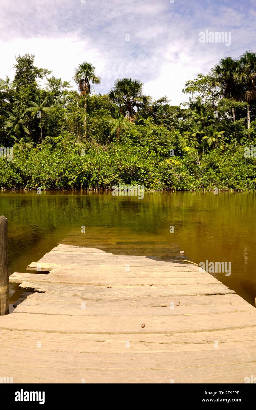 Pier in the Acarouany river, French Guiana Stock Photo - Alamy