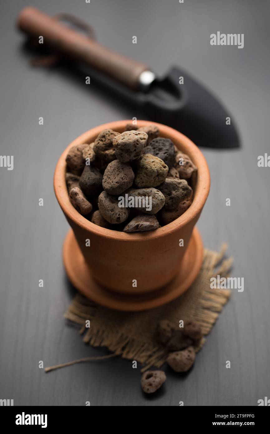 Propagation material hi-res stock photography and images - Alamy