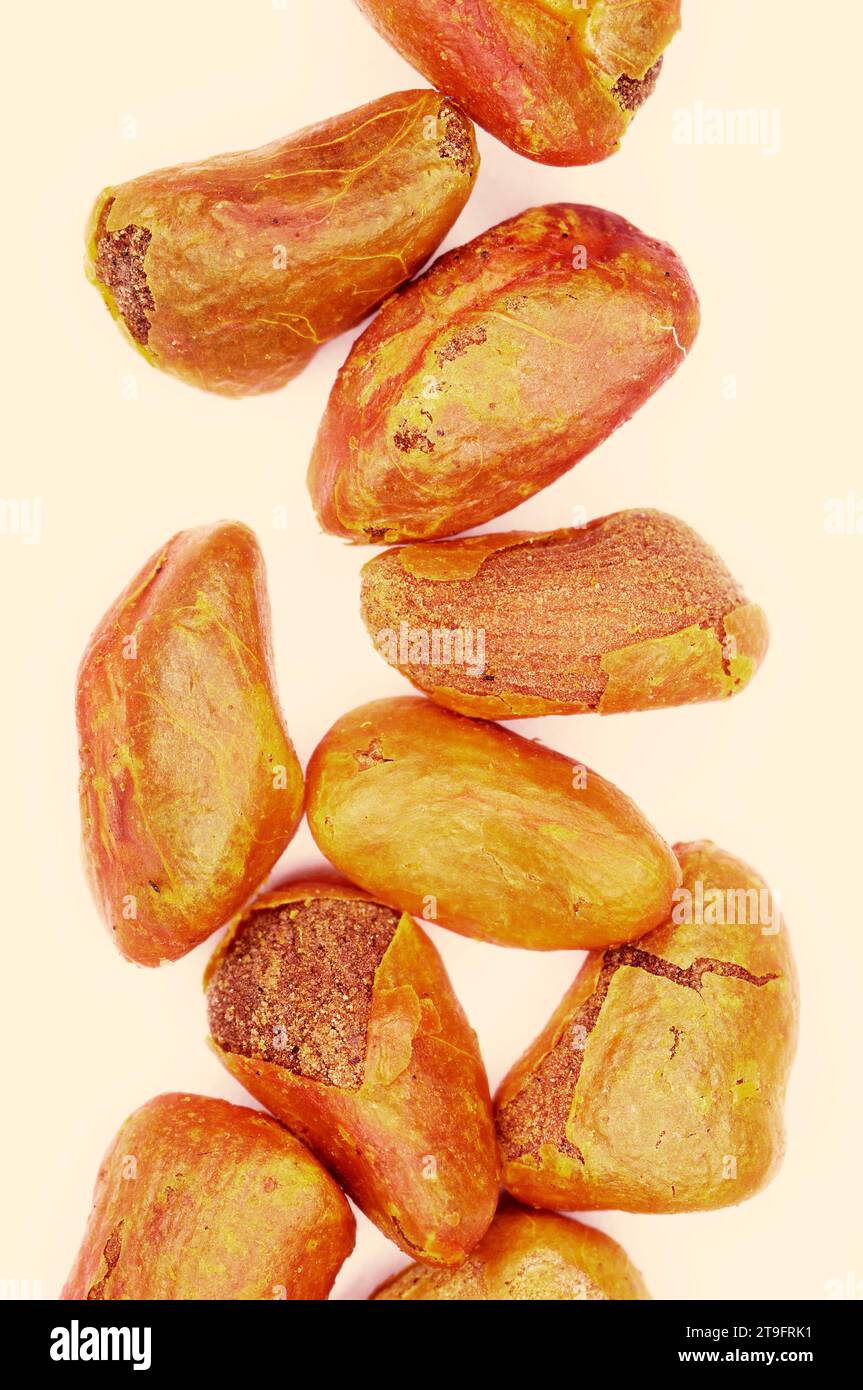 Tabernaemontana divaricata ‘Pinwheel Flower’ - SEEDS Stock Photo - Alamy