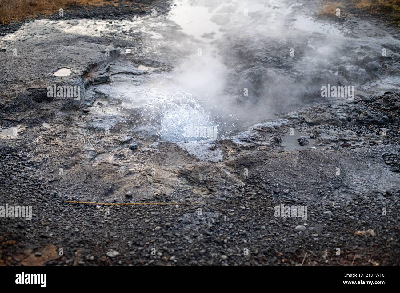Mini geyser in Secret Lagoon, Iceland Stock Photo - Alamy