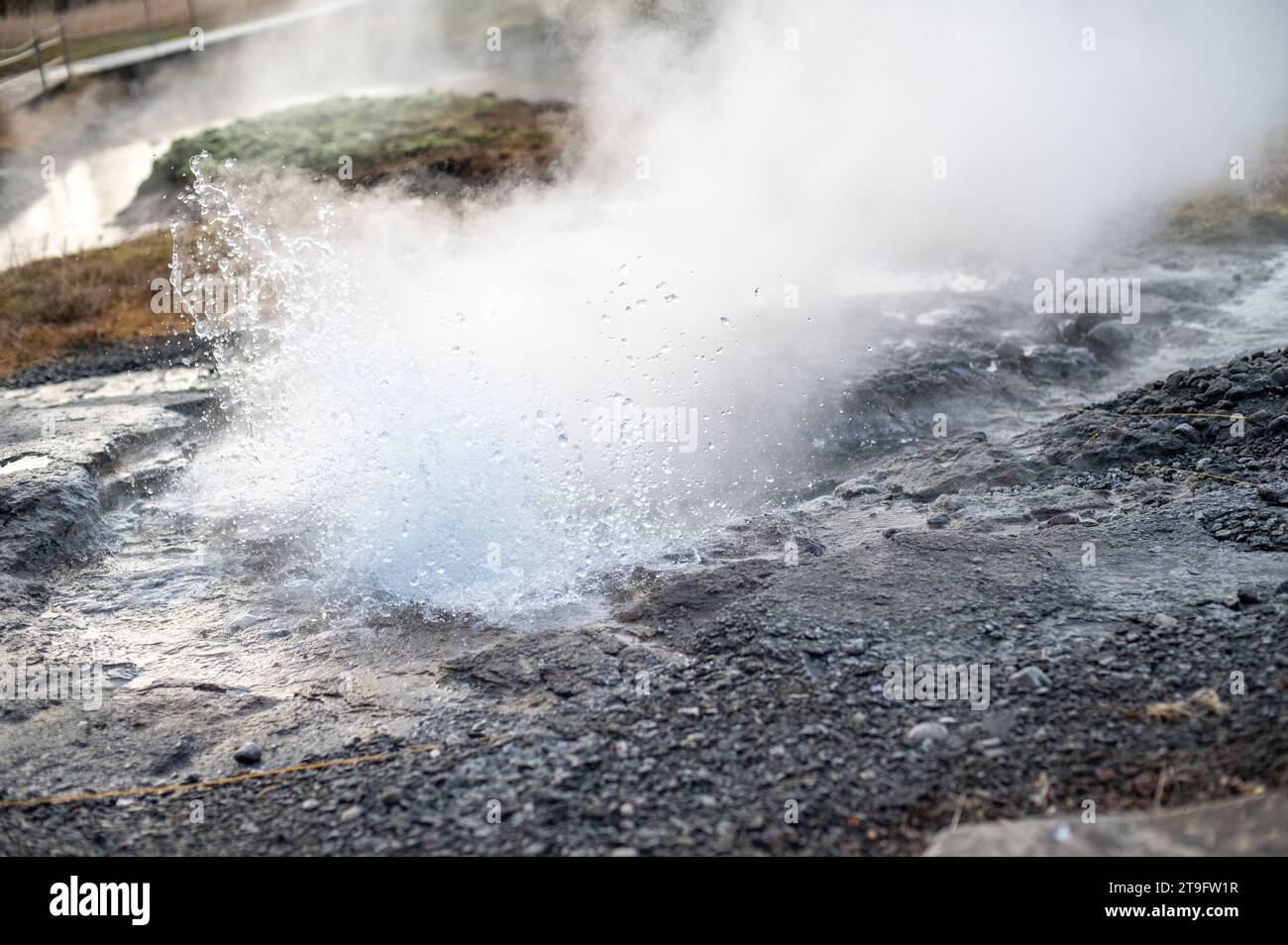 Mini geyser in Secret Lagoon, Iceland Stock Photo - Alamy