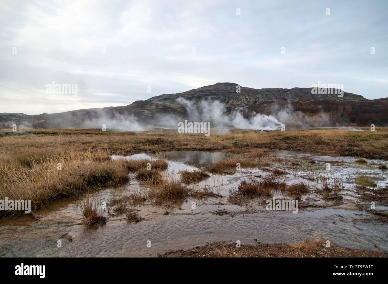 Haukadalur Valley in Iceland Stock Photo - Alamy