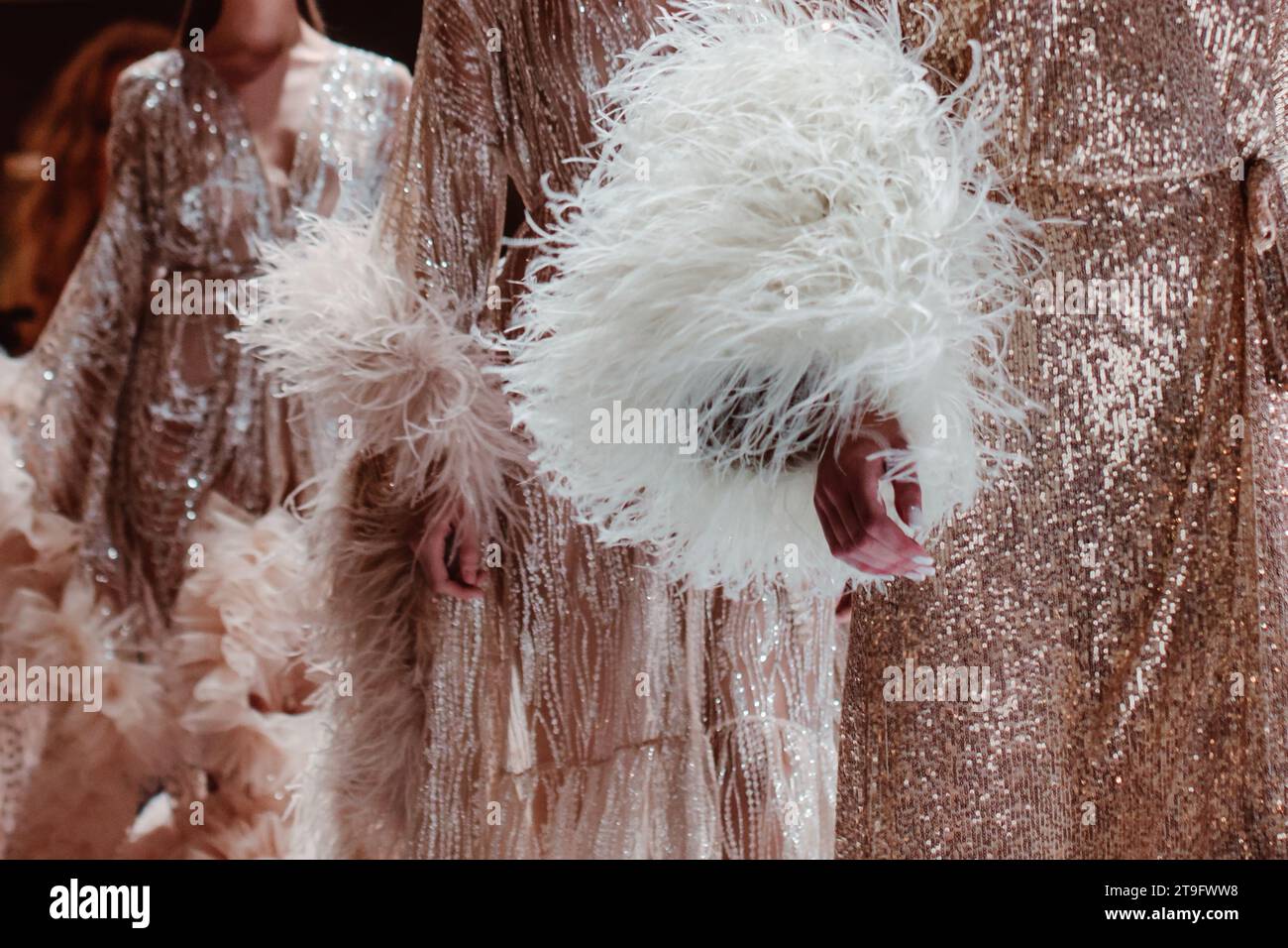 Golden boudoir dresses outfits with white feathers. Fashion details ...