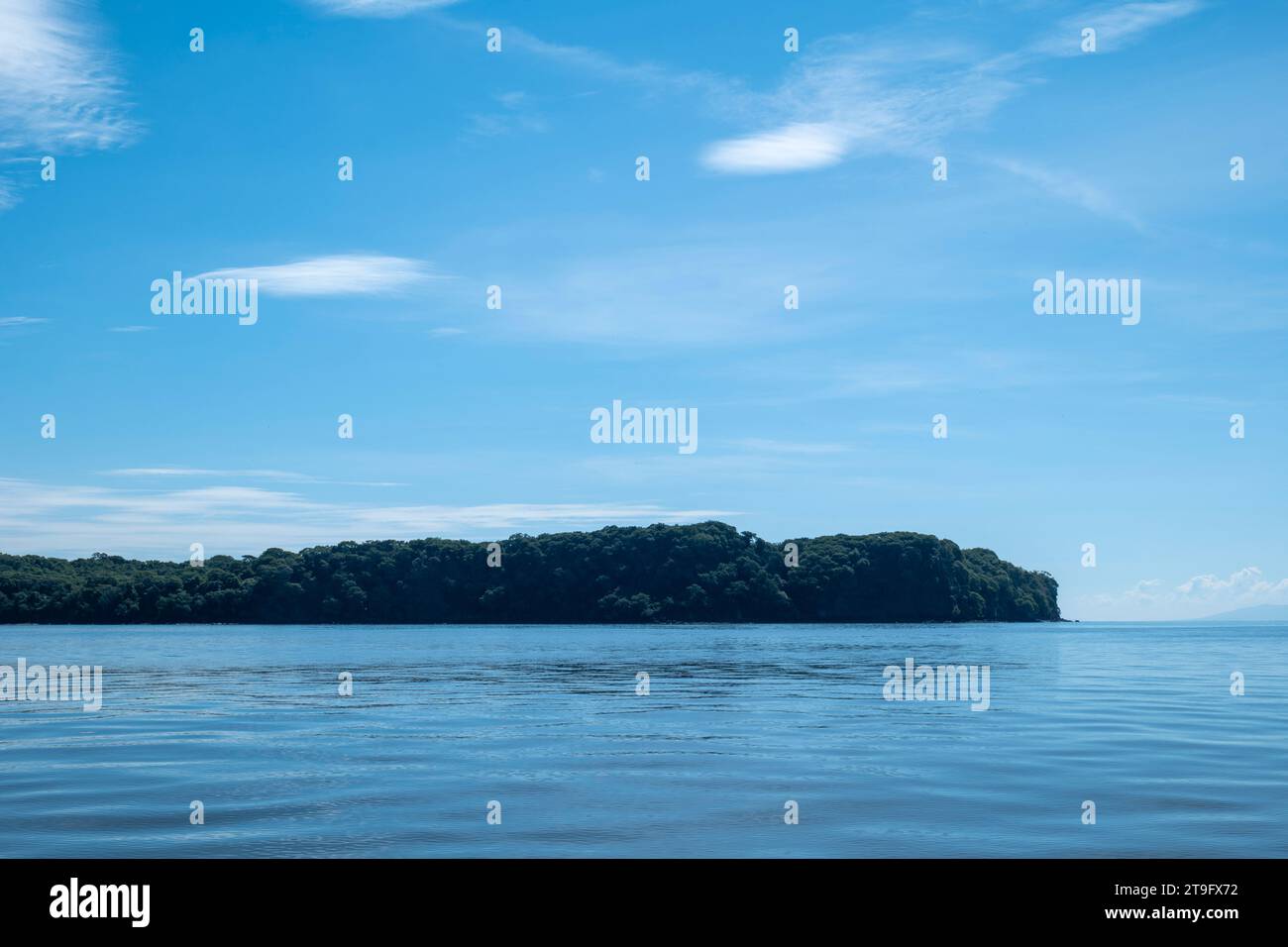 Dark Coastline Seen From Afar with Lush Vegetation in Front of a Calm ...