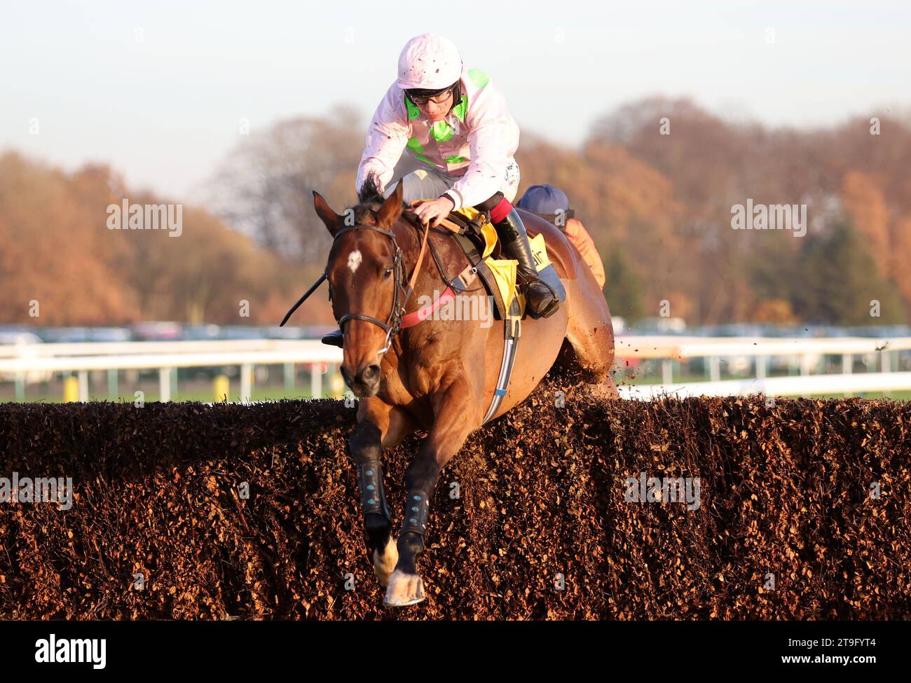 Royale pagaille haydock 2023 hi-res stock photography and images - Alamy
