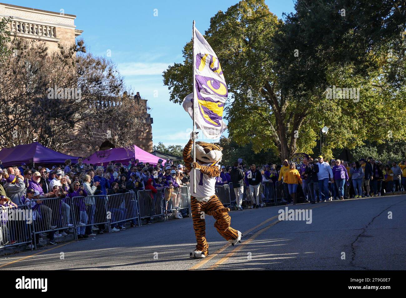 Baton Rouge, LA, USA. 25th Nov, 2023. LSU's mascot Mike the Tiger runs ...