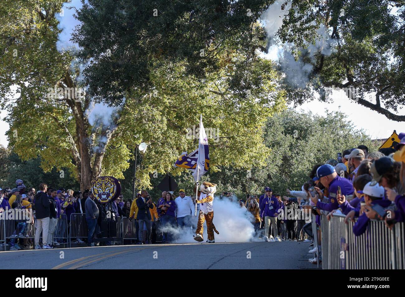 Baton Rouge, LA, USA. 25th Nov, 2023. LSU's mascot Mike the Tiger runs ...
