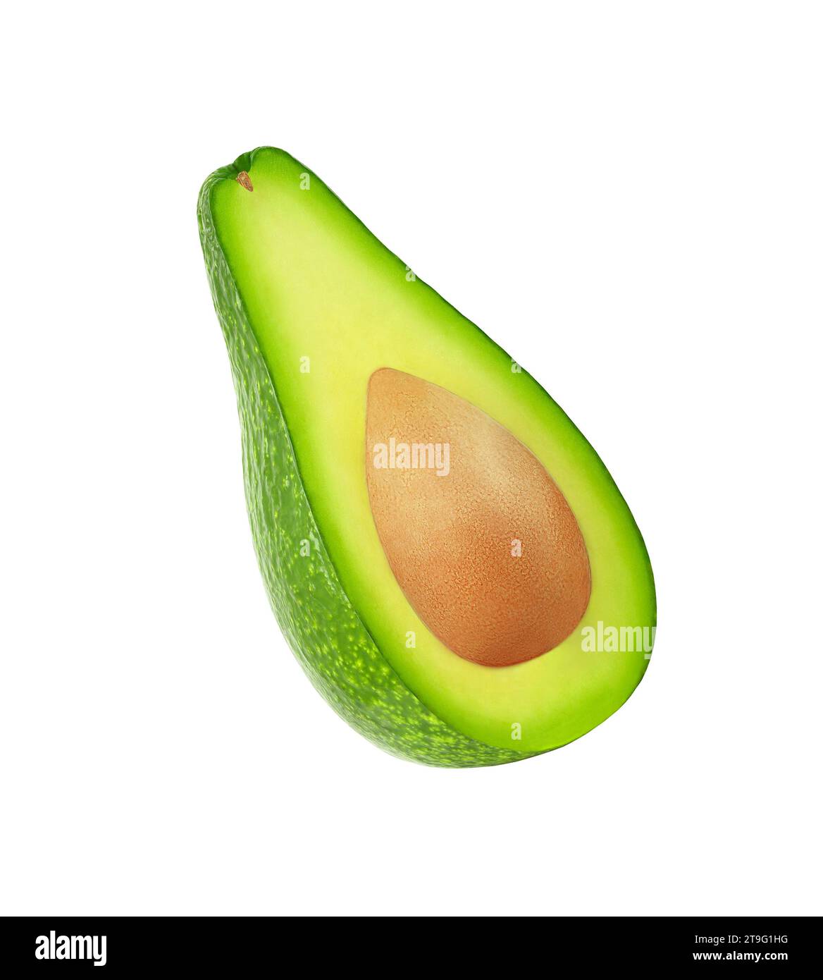 Avocado one half cut with the seed inside isolated on a white ...