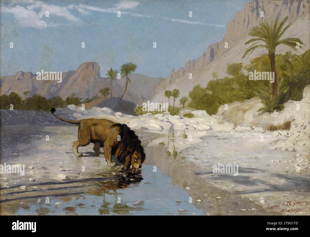 Lion Drinking from a Desert Stream c. 1885 by Jean-Leon Gerome Stock ...