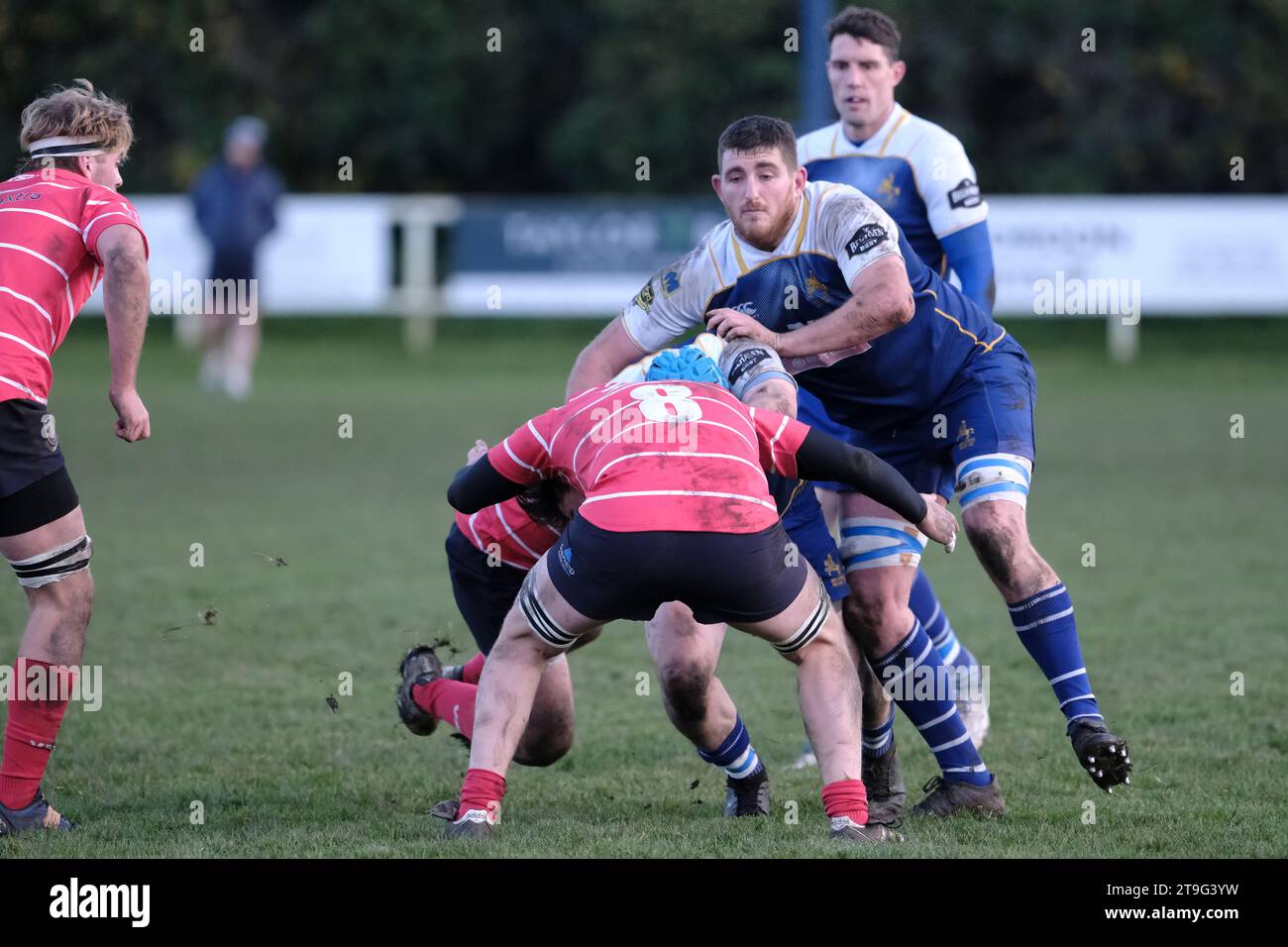 Captain of the scottish rugby team hi-res stock photography and images ...