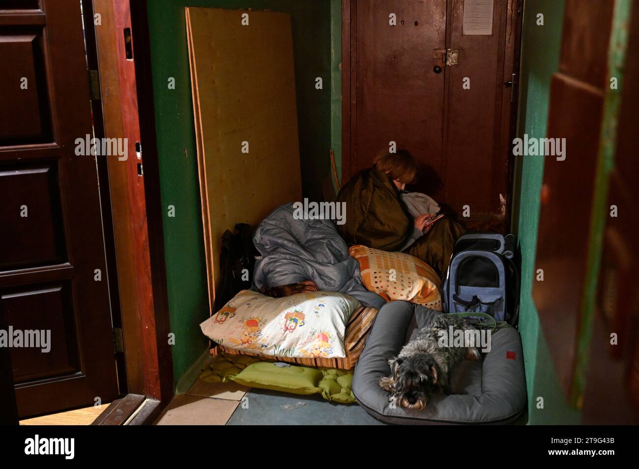Kyiv, Ukraine. 25th Nov, 2023. A woman and her dog seen in the common ...