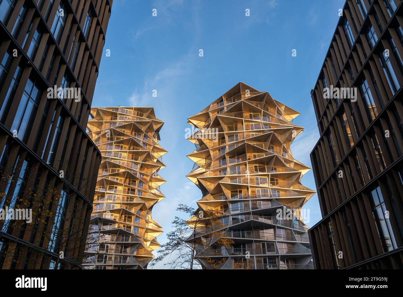 Cactus Towers in Copenhagen Stock Photo - Alamy