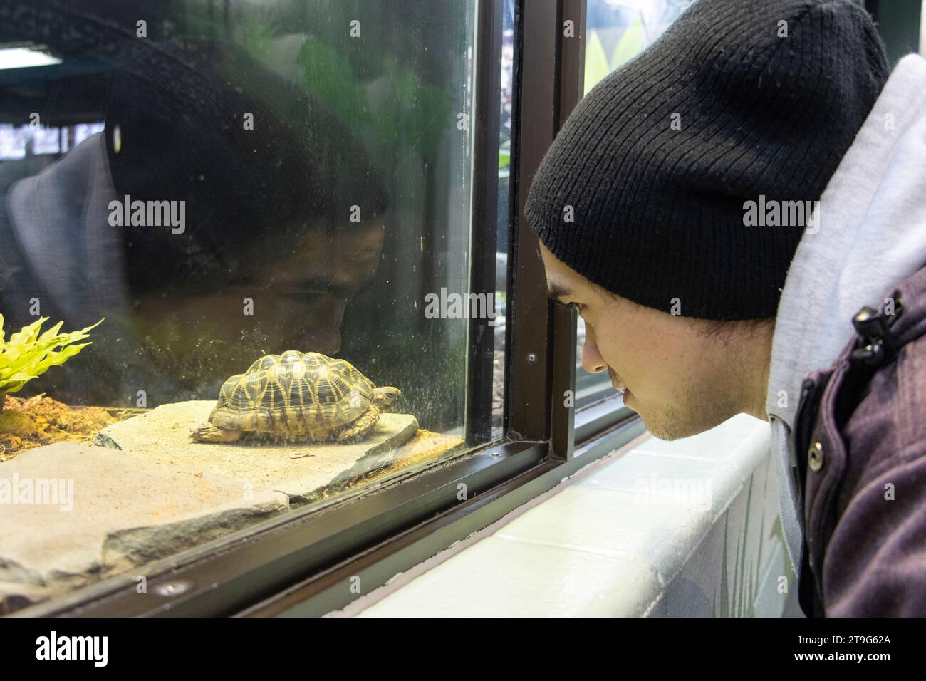 Turtle man hi-res stock photography and images - Alamy