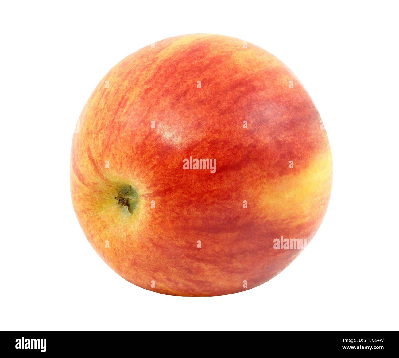 Apple is red-yellow whole one isolated on a white background with ...