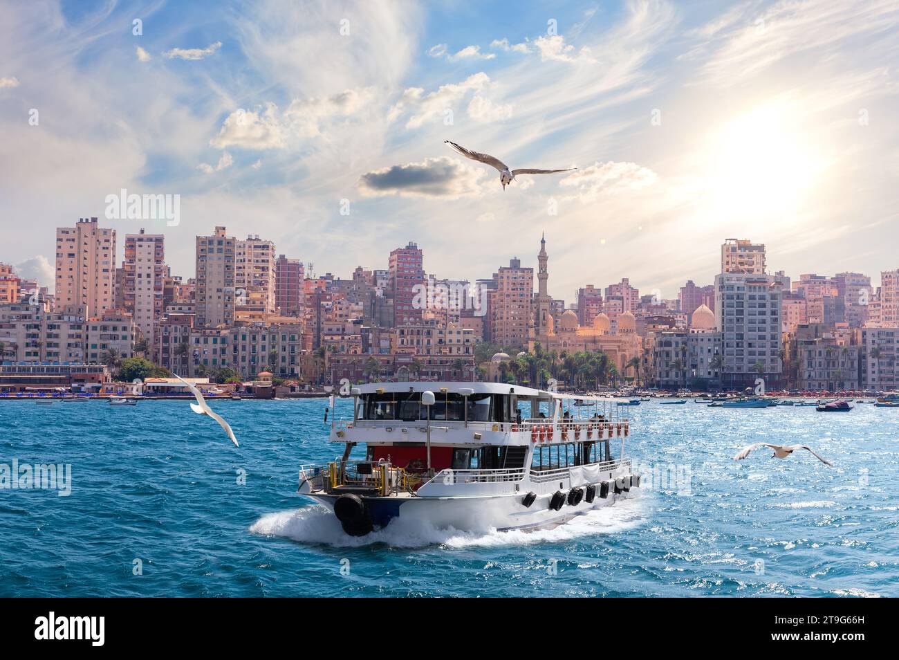 Qaitbay alexandria aerial hi-res stock photography and images - Alamy