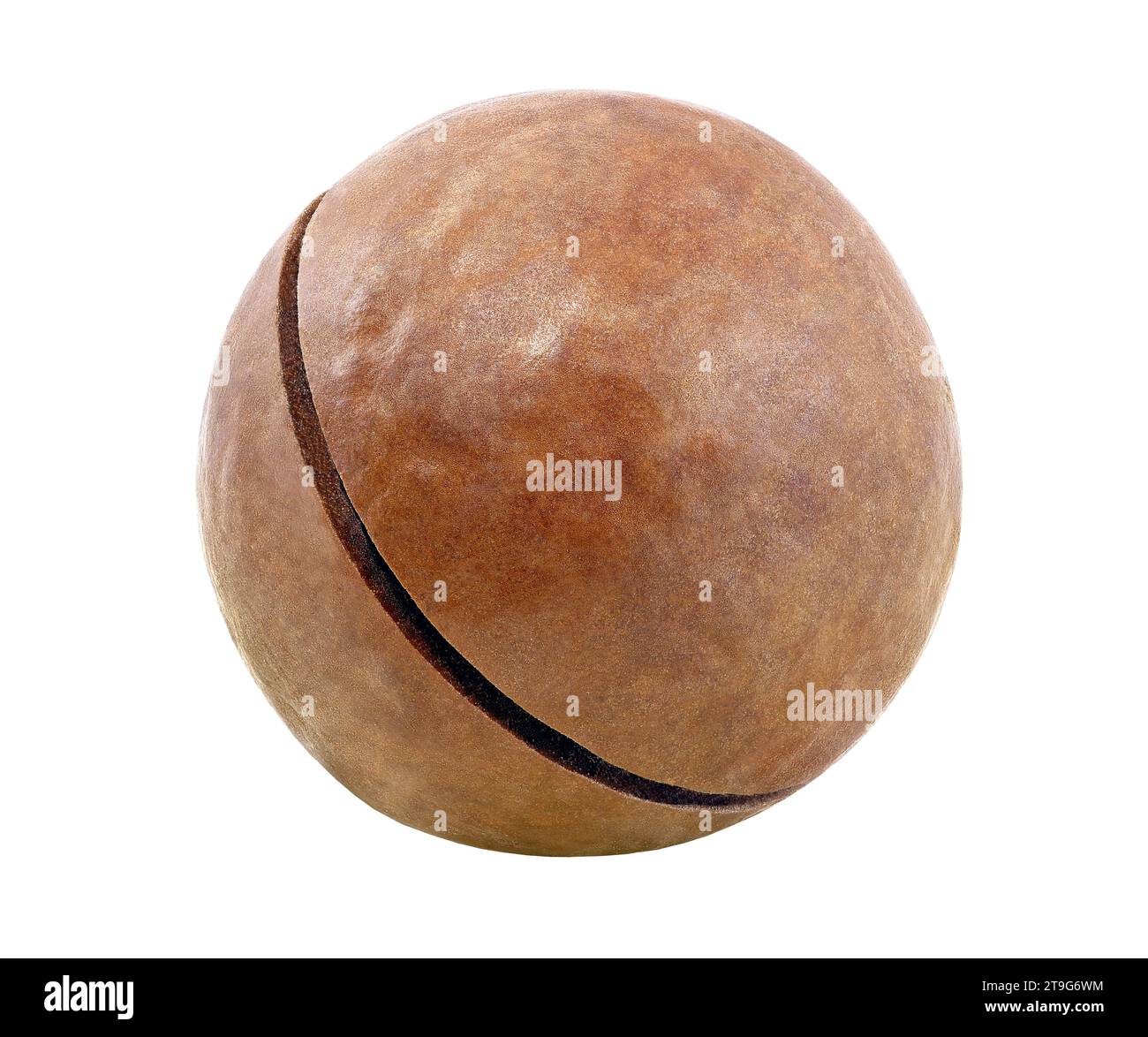 Macadamia nut one whole sawn isolated on a white background with ...
