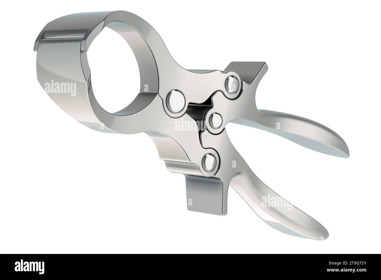 Castrator Diagram STAINLESS STEEL VETERINARY Tool Livestock Castration ...