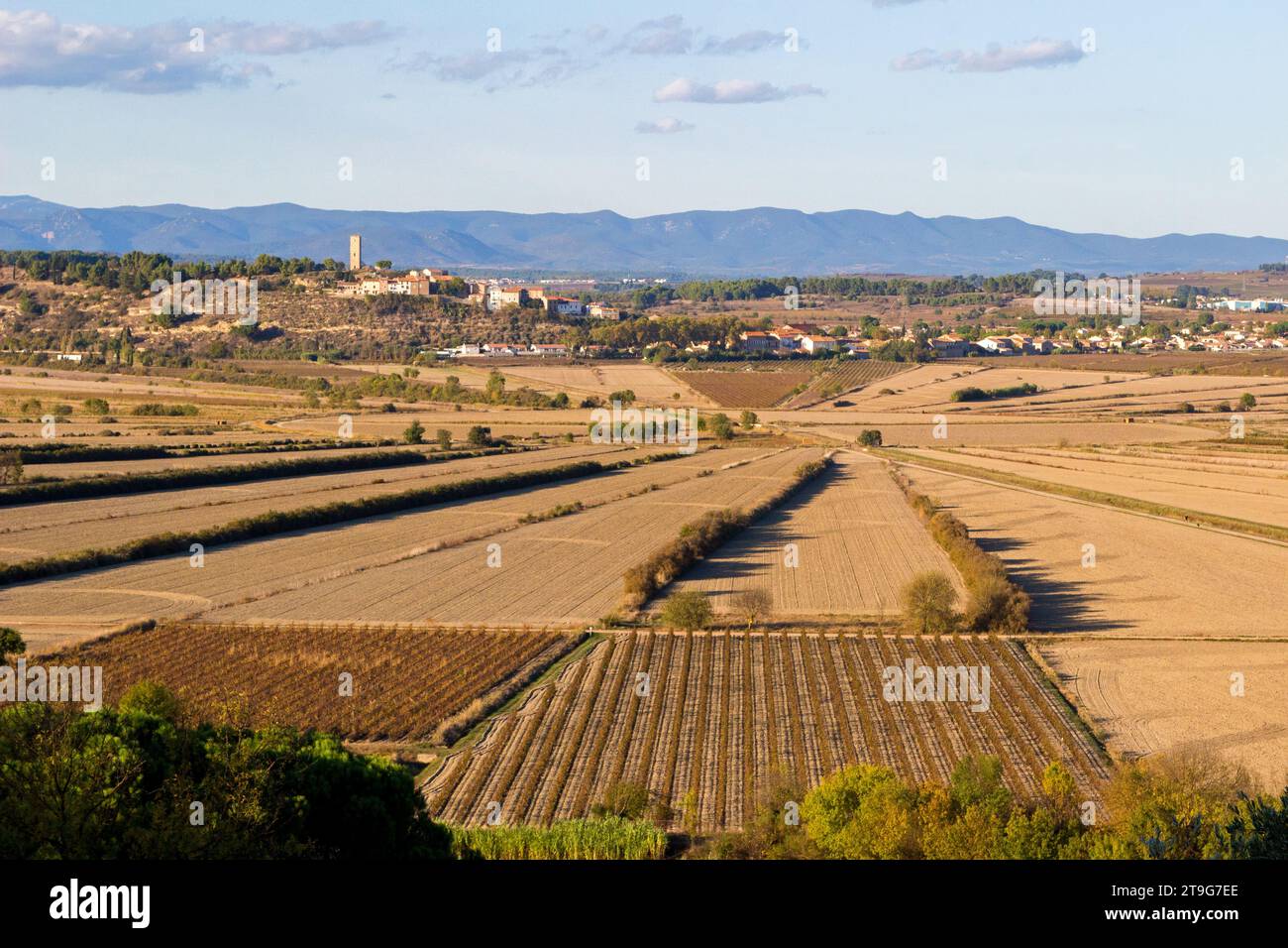 View of the dry pond of Montady from the archaeological site of the ...