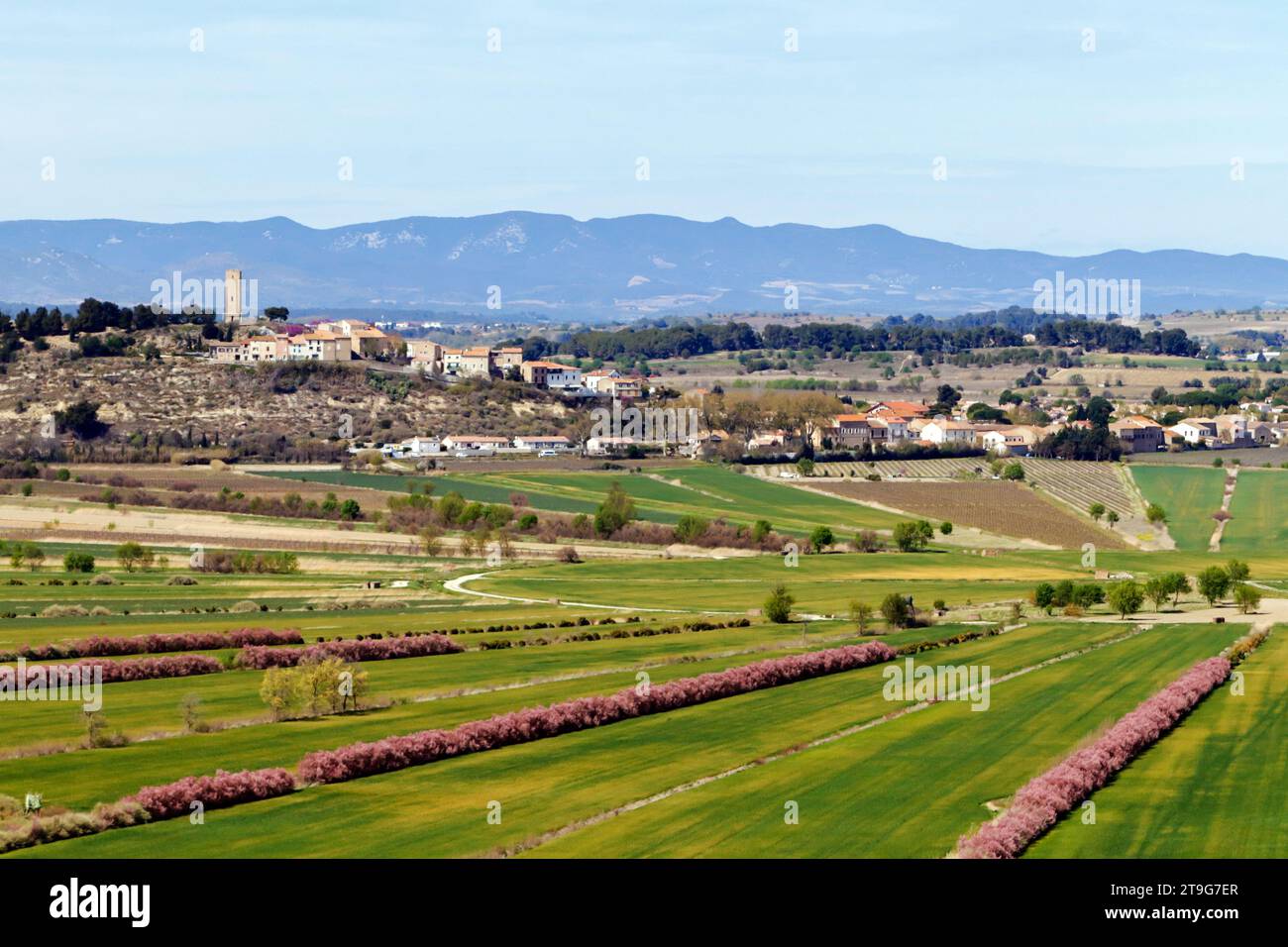 View of the dry pond of Montady from the archaeological site of the ...