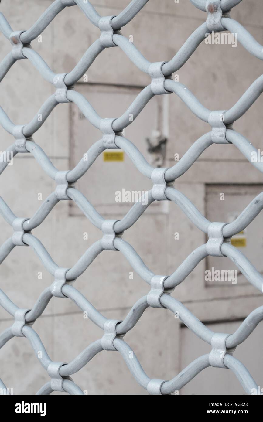 Close up of a metal decorated protective lattice in the door, security ...