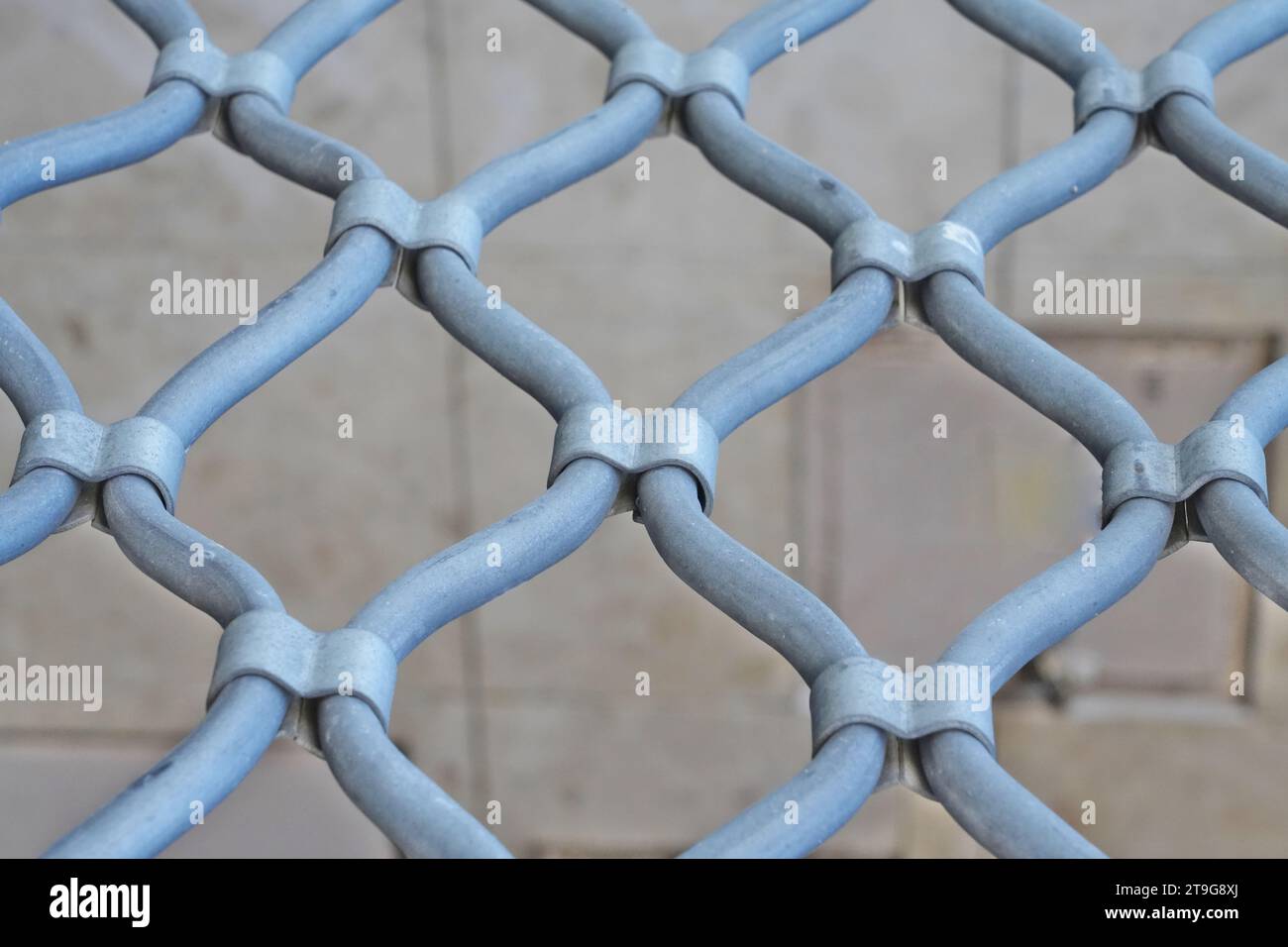 Close up of a metal decorated protective lattice in the door, security ...