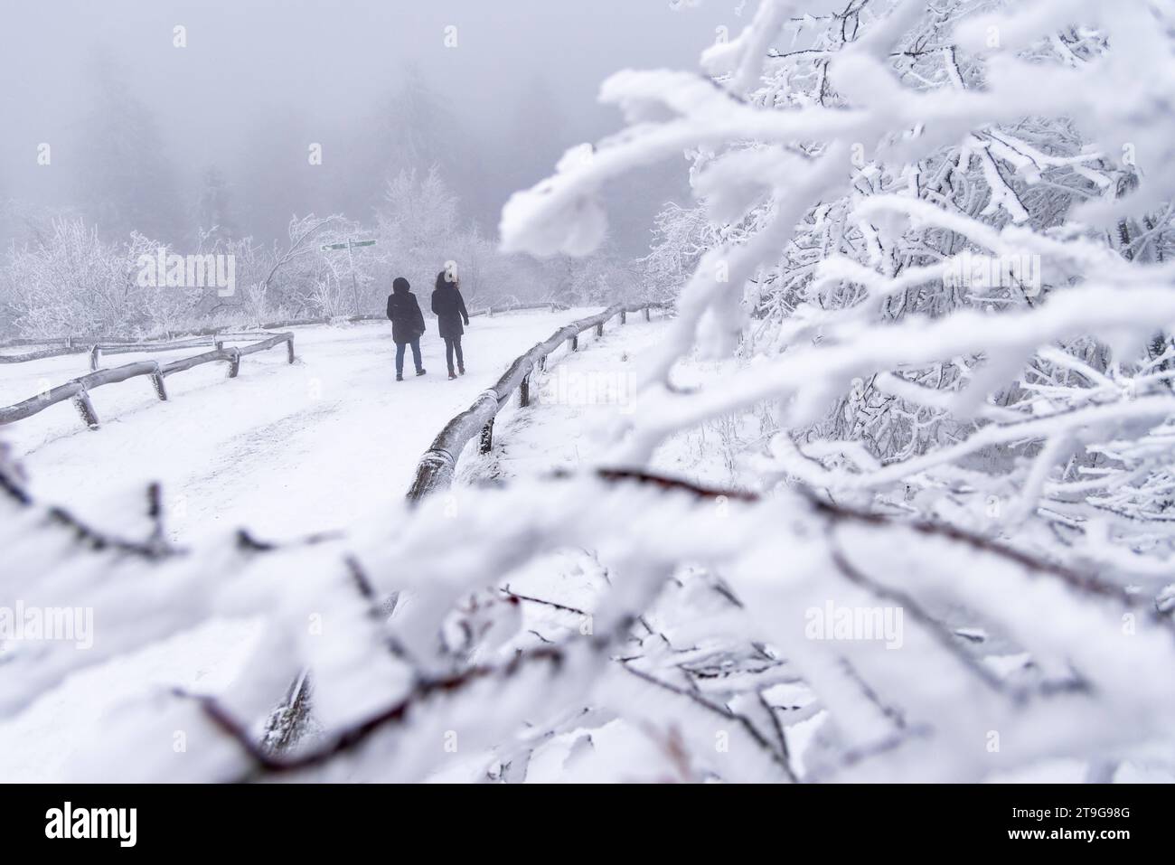 Winter im Taunus Die Landschaft am Großen Feldberg im Taunus zeigt sich ...