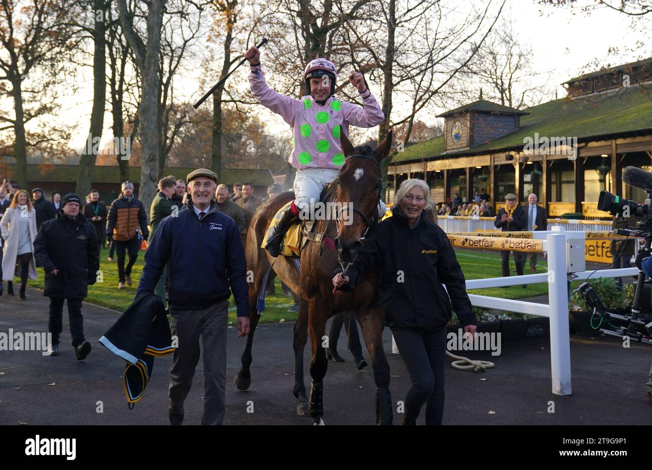 Royale pagaille horse hi-res stock photography and images - Alamy