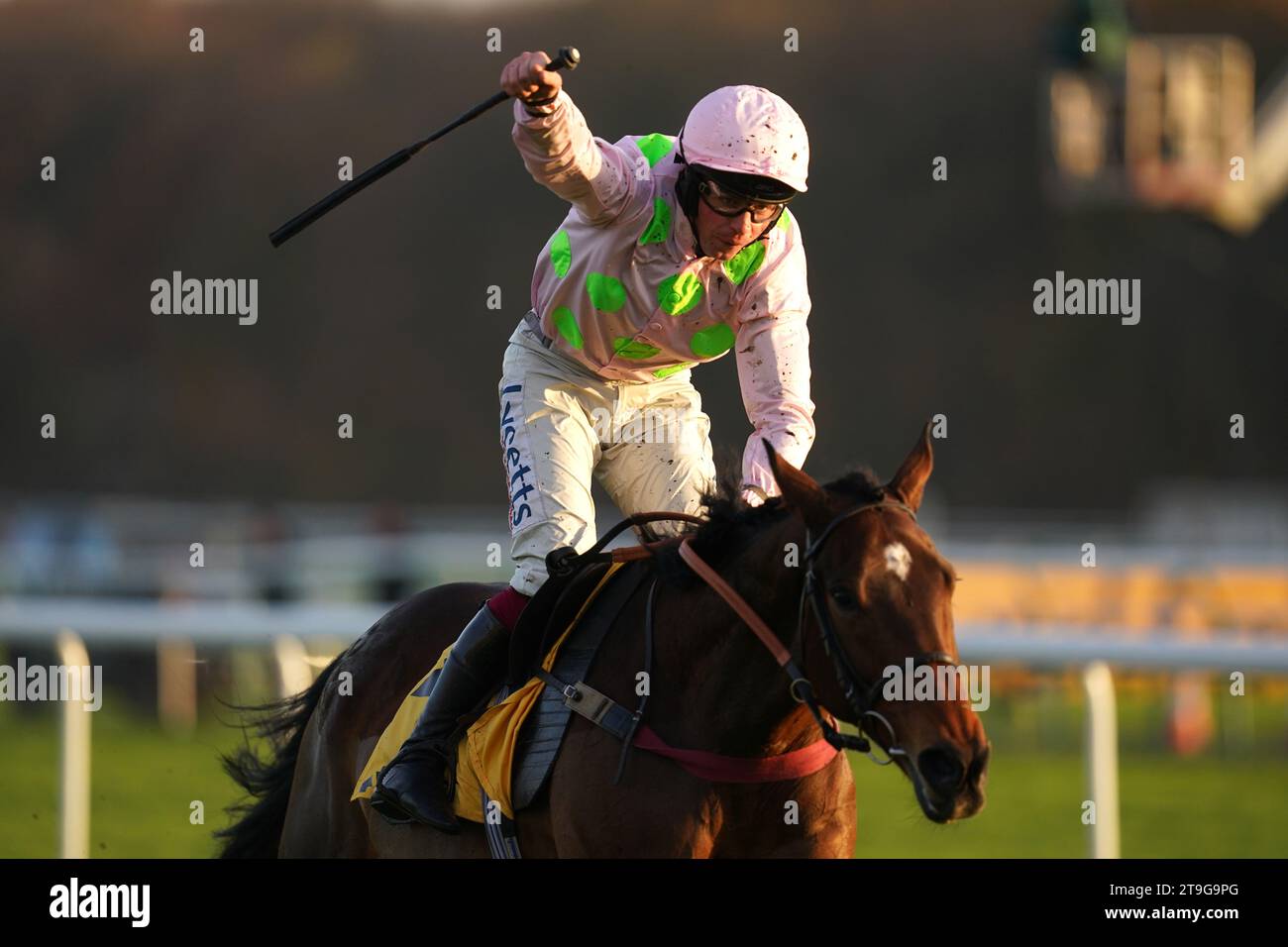 Royale pagaille haydock 2023 hi-res stock photography and images - Alamy