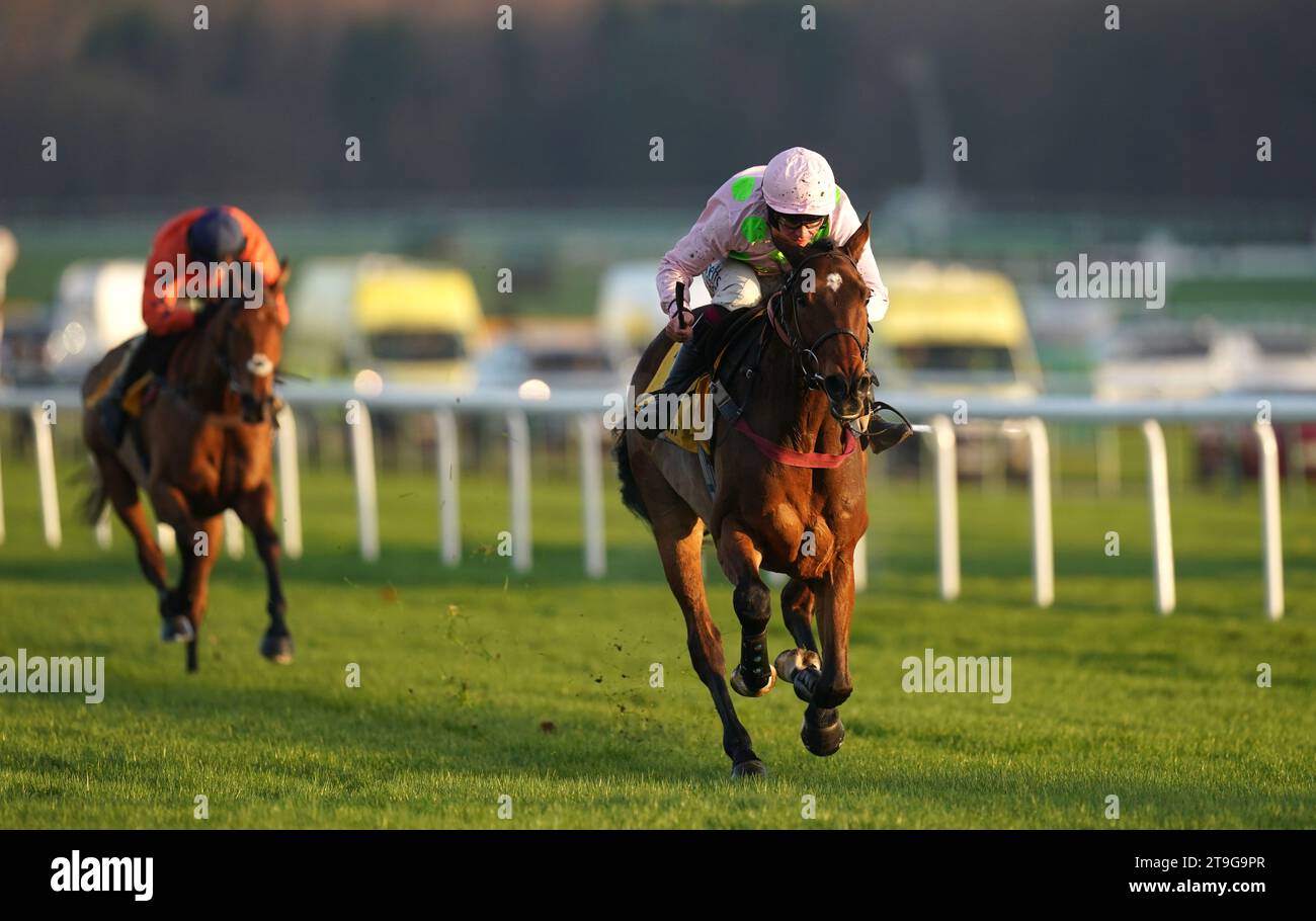 Royale pagaille horse hi-res stock photography and images - Alamy