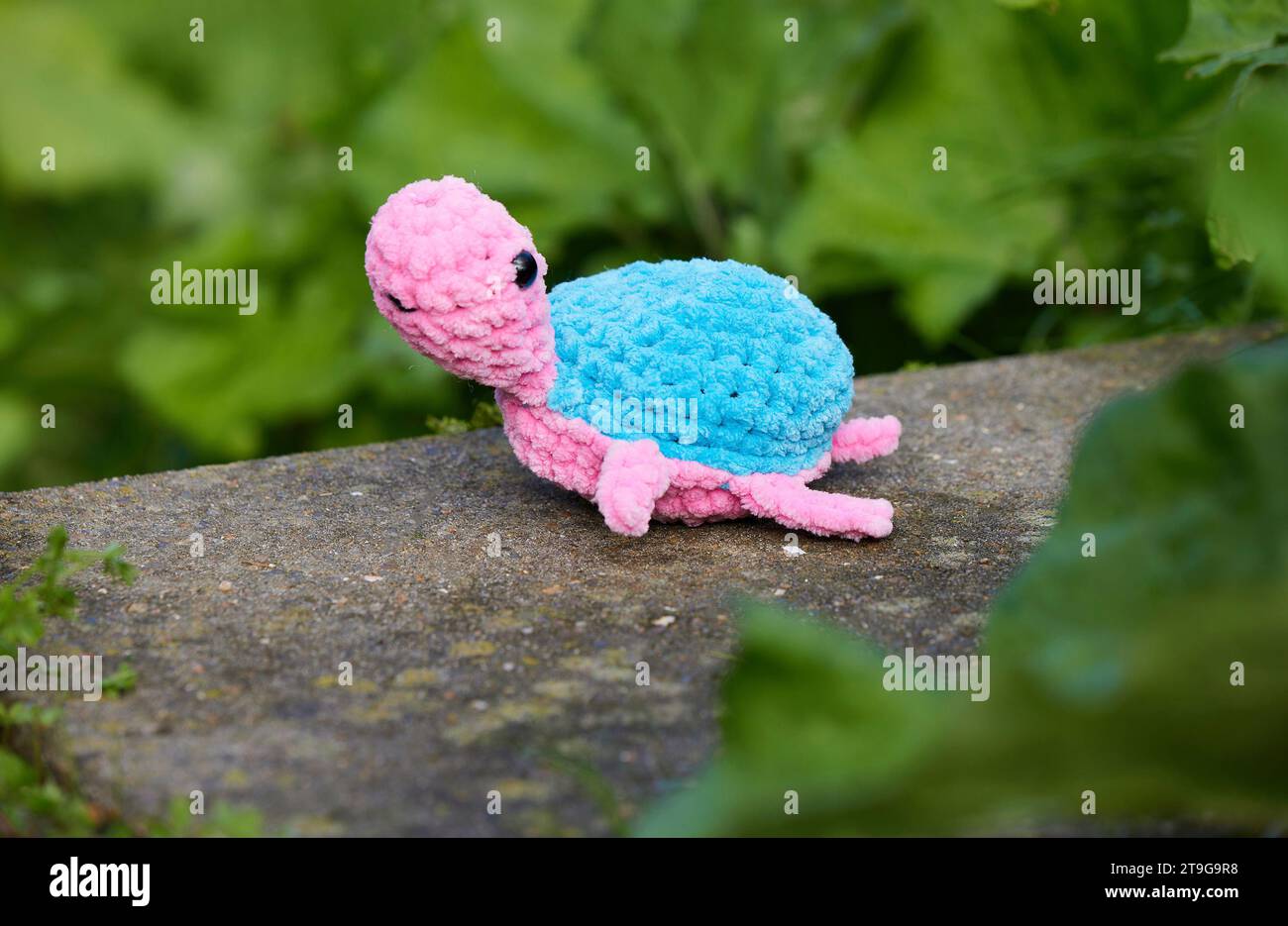 Turtle playground hi-res stock photography and images - Alamy