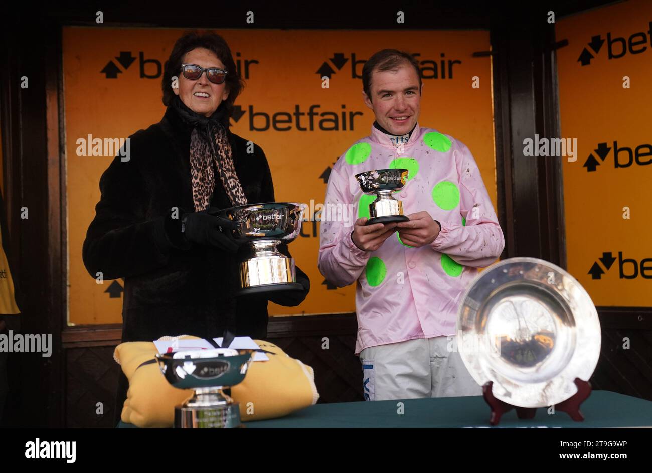 Royale pagaille horse hi-res stock photography and images - Alamy