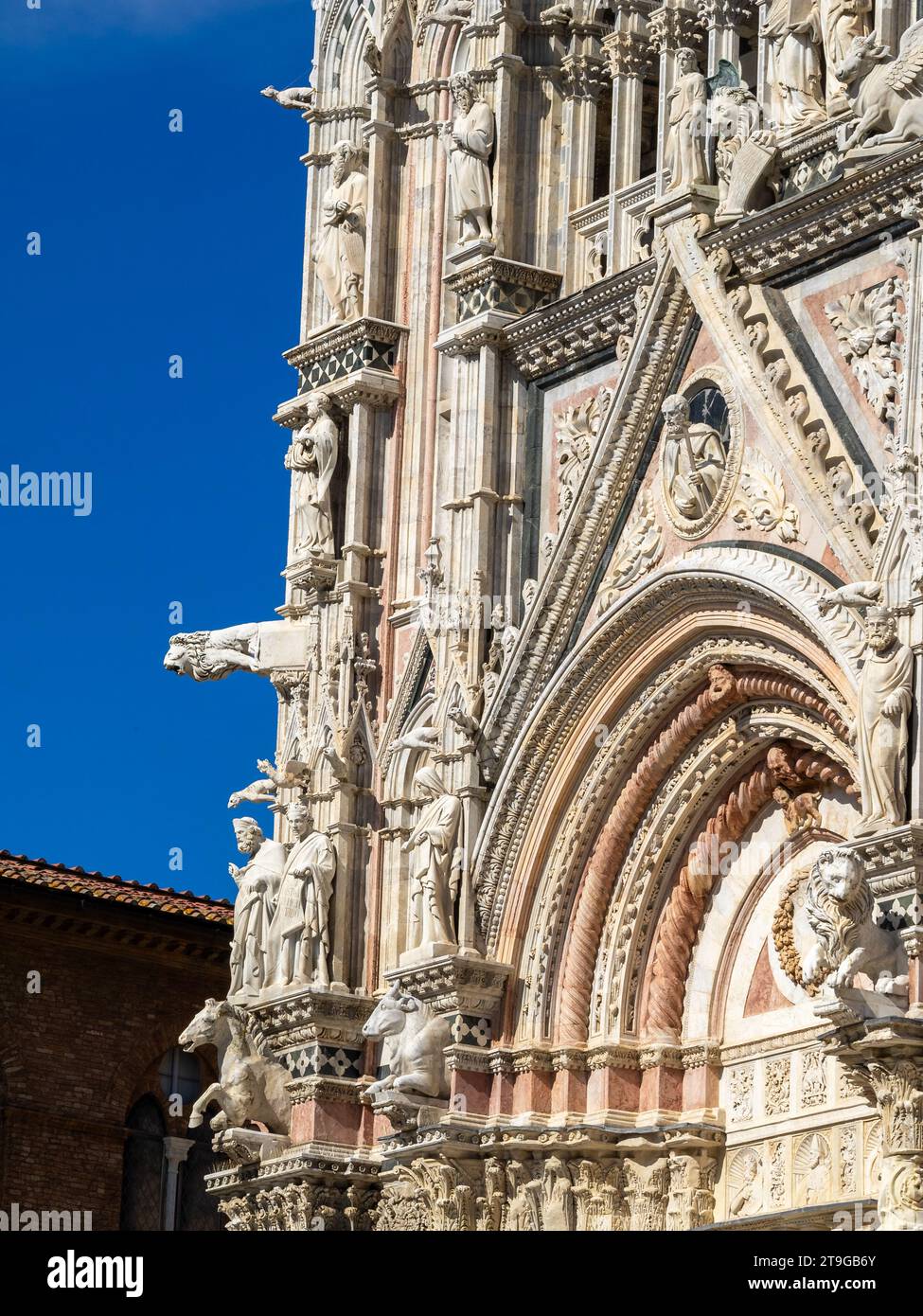 Decorations of the left corner of Siena Cathedral facade Stock Photo ...