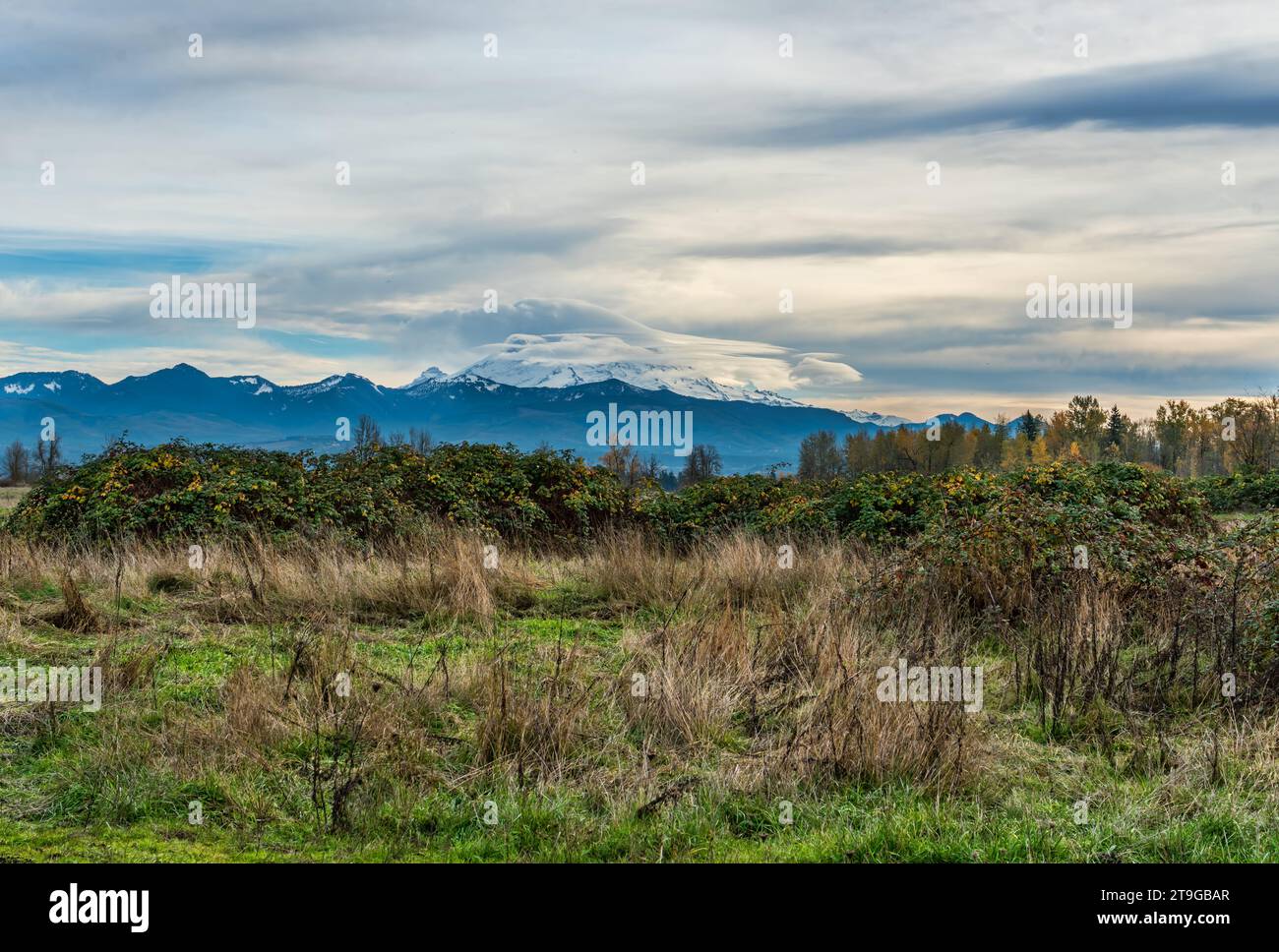 Overcastn hi-res stock photography and images - Alamy