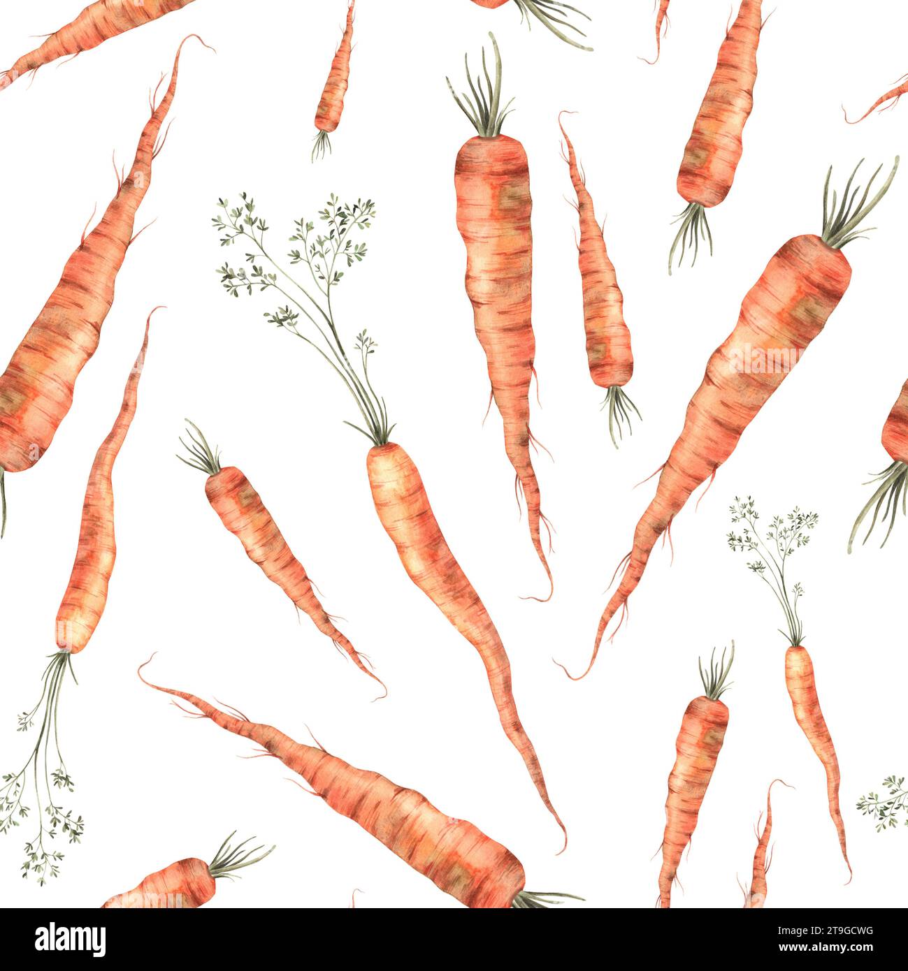 Seamless watercolor surface pattern of bright carrots with greens. Hand ...