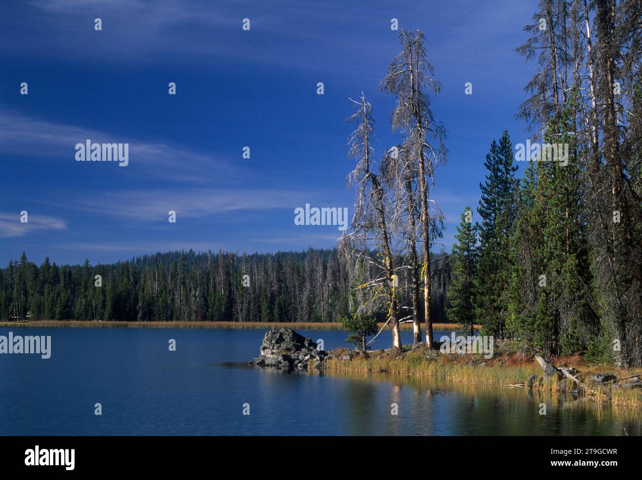 Little Lava Lake, Cascade Lakes National Scenic Byway, Deschutes ...