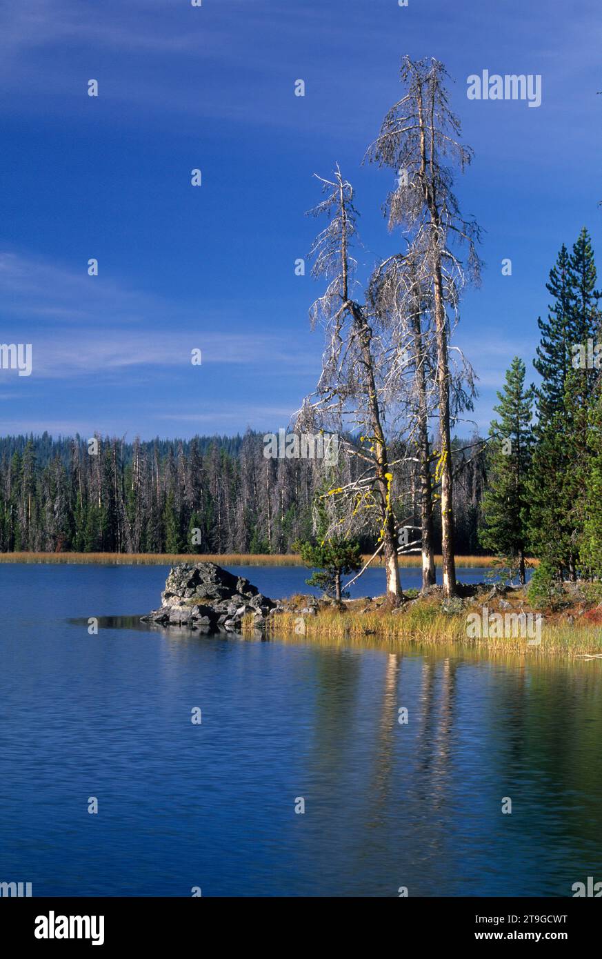 Little Lava Lake, Cascade Lakes National Scenic Byway, Deschutes ...