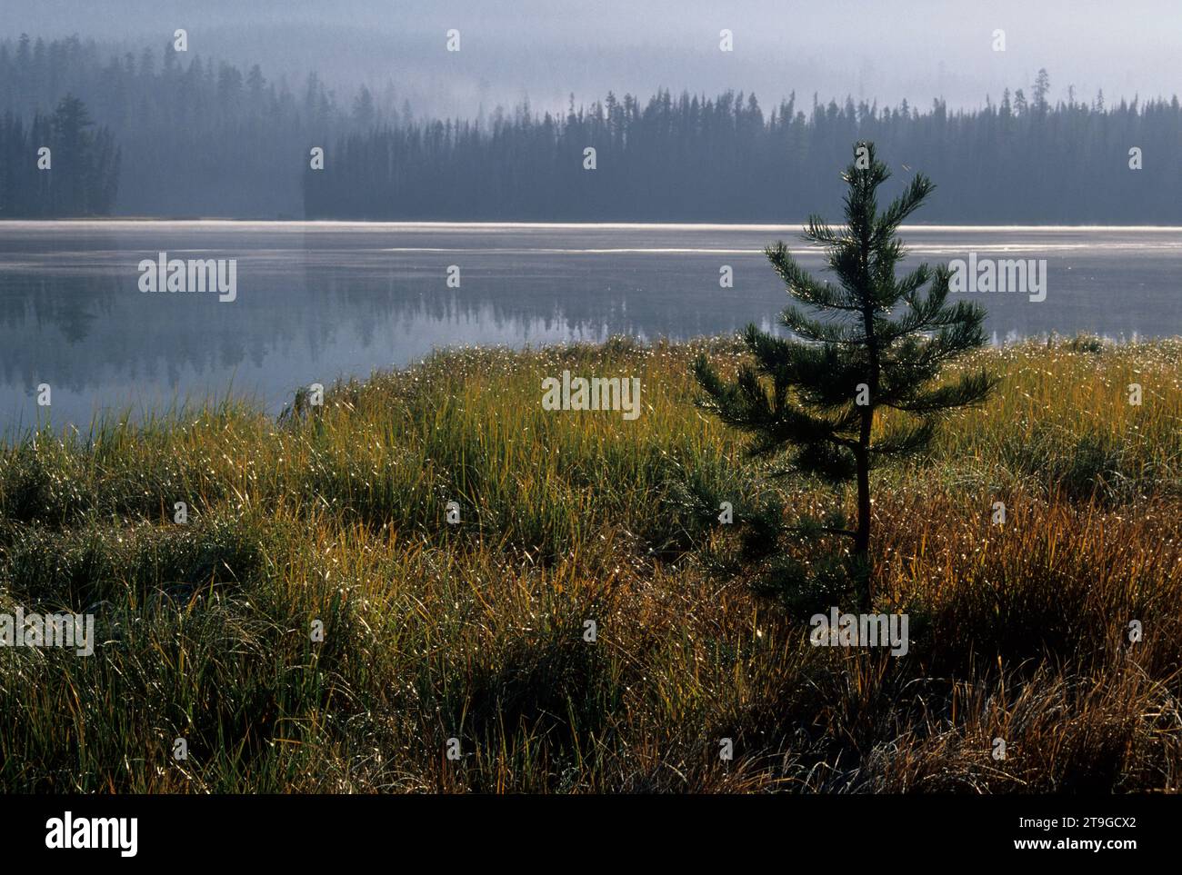 Little Lava Lake, Cascade Lakes National Scenic Byway, Deschutes ...
