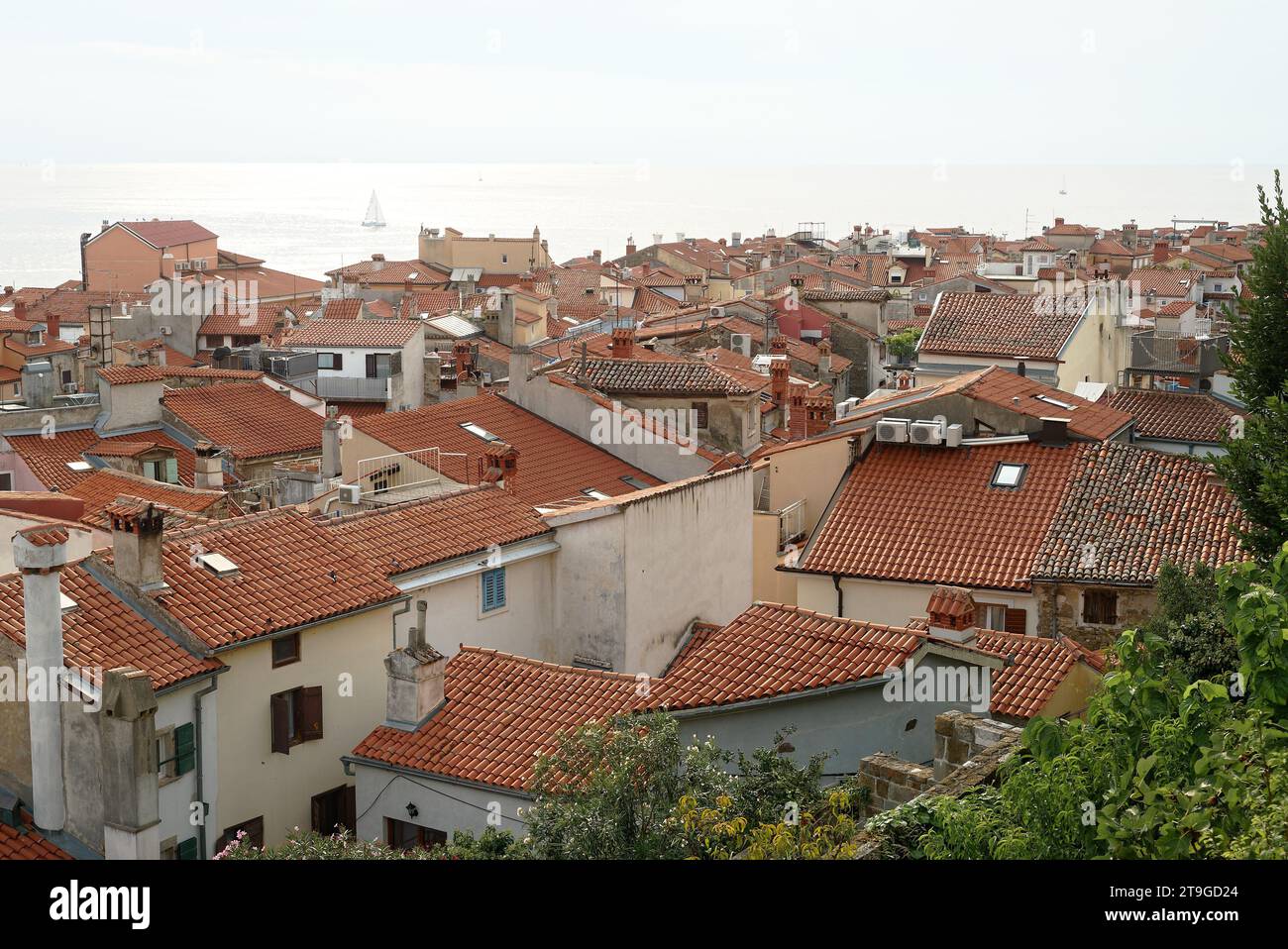 A scenic view of a cityscape highlighted by bright red tile rooftops ...