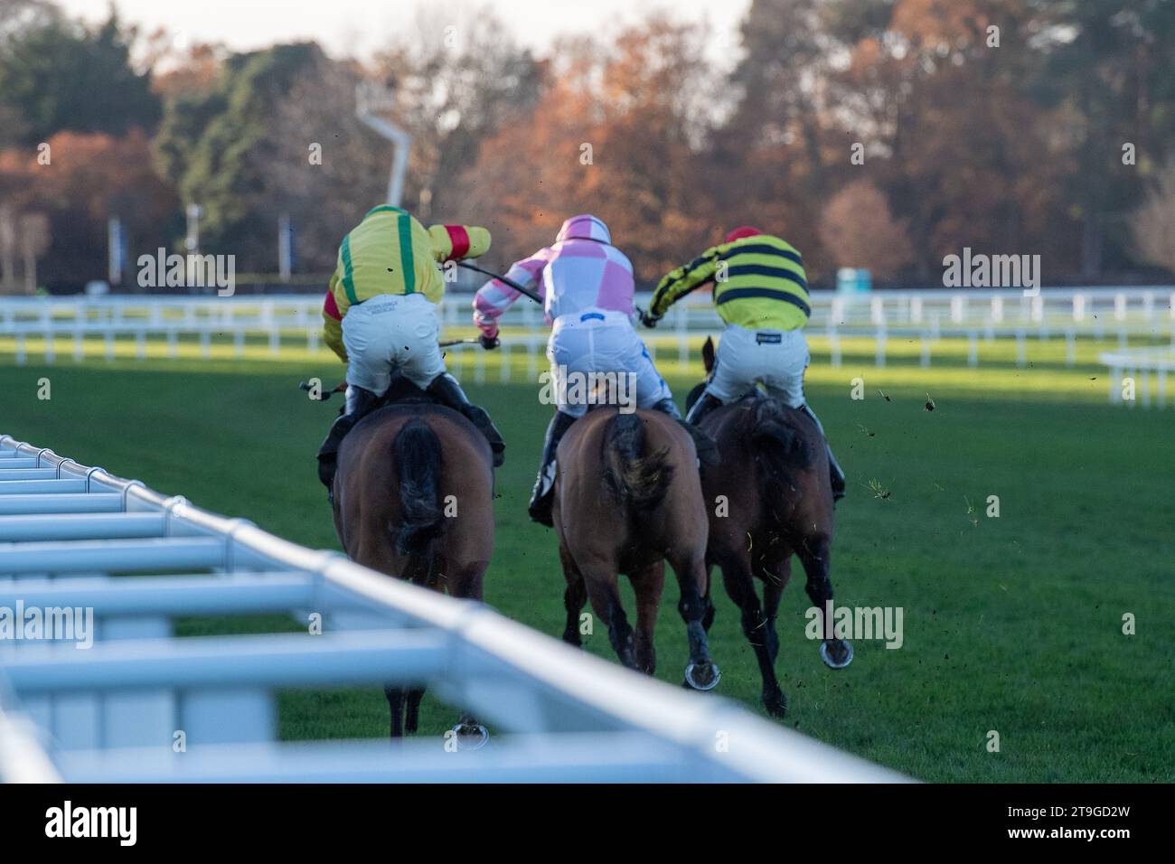 Breeder mrs cjc bailey hi-res stock photography and images - Alamy