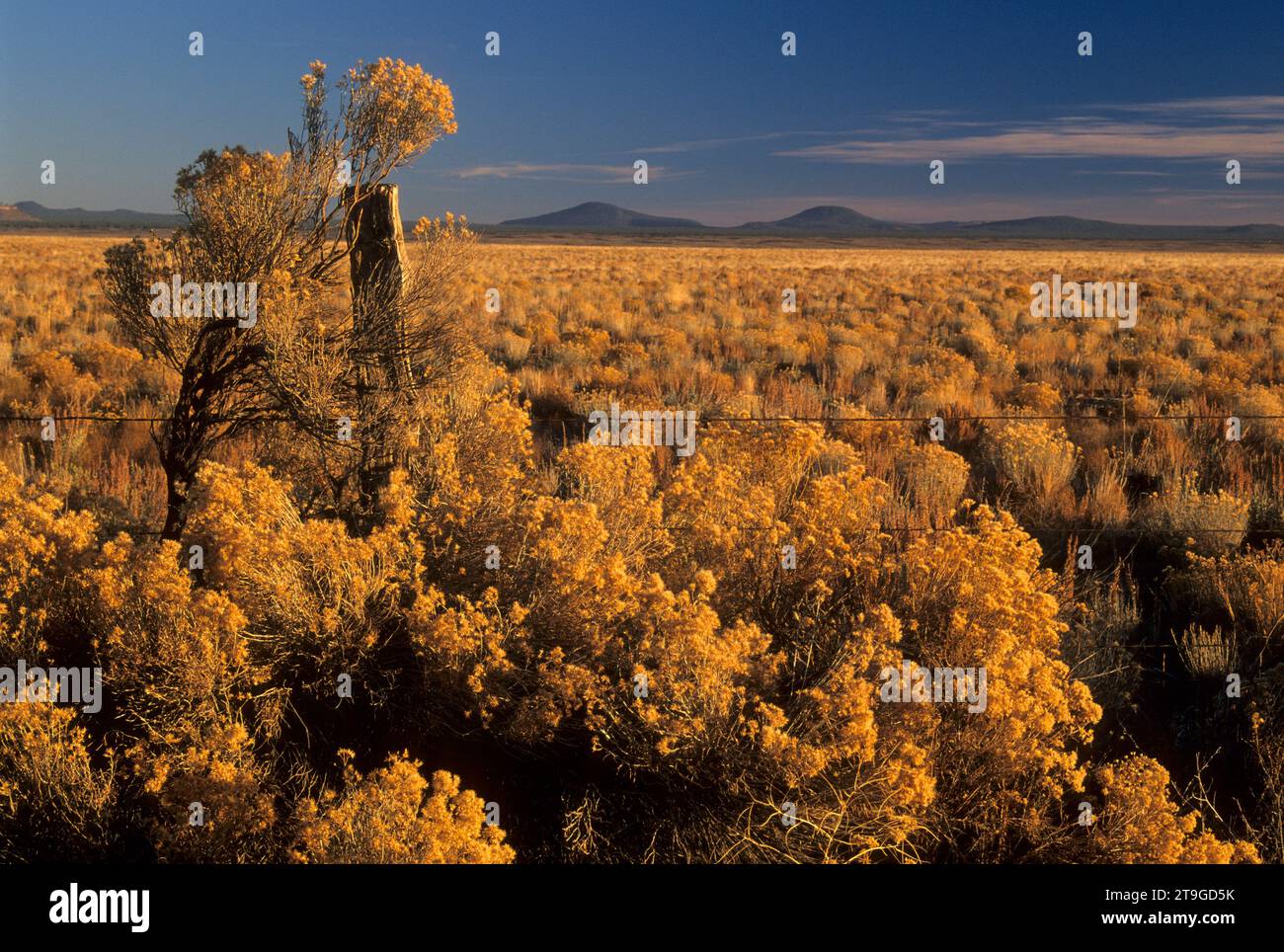 Ranch fence, Christmas Valley National Back Country Byway, Oregon Stock ...