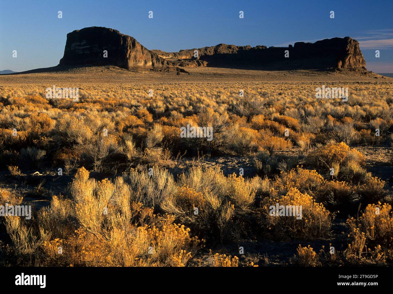 Fort Rock, Christmas Valley National Back Country Byway, Oregon Stock ...